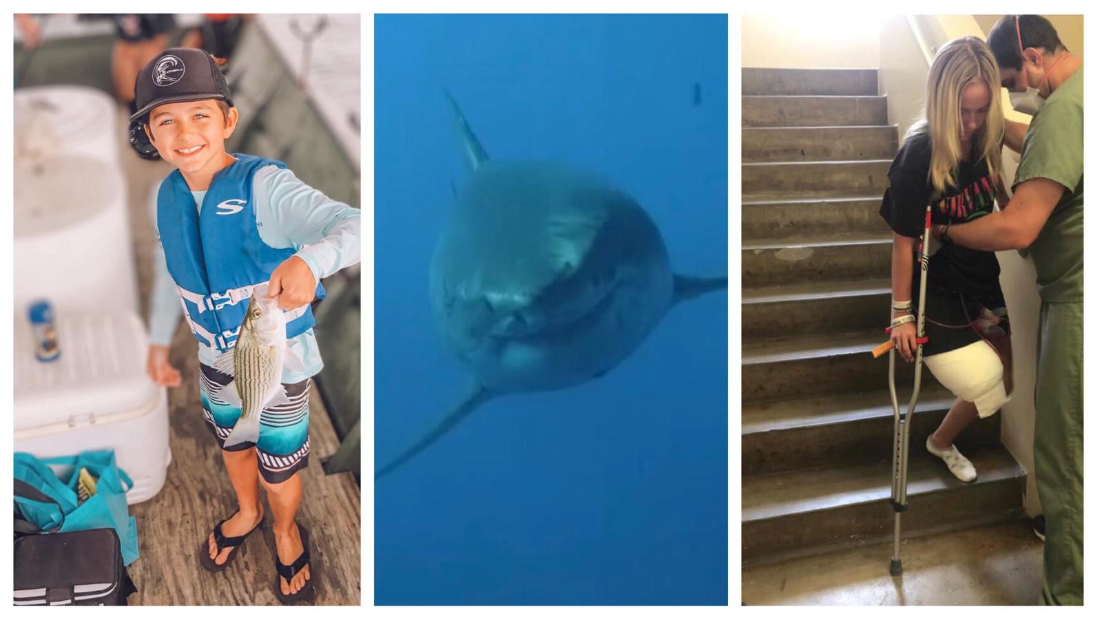 Le amputan la pierna a otro niño mordido por un tiburón: esta vez fue ...