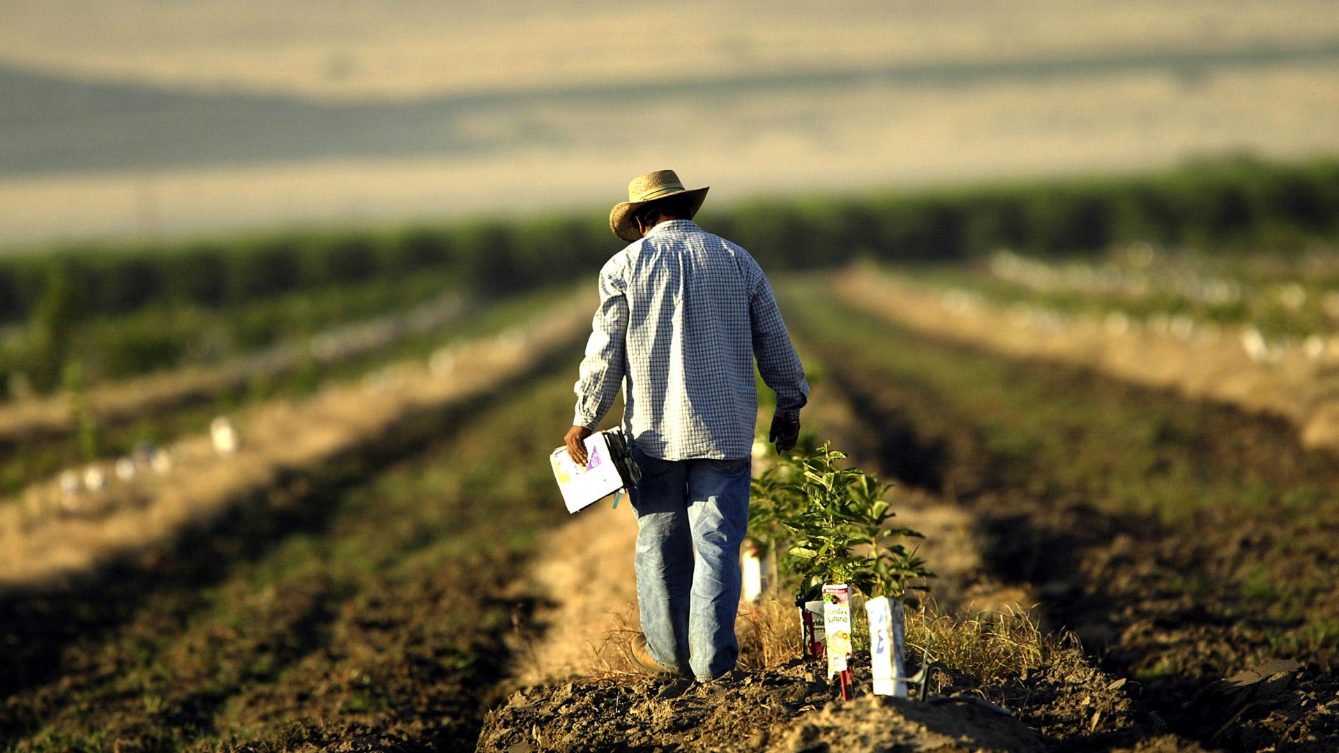 Descubrimos algunos de los tesoros escondidos de Homestead, el corazón ...