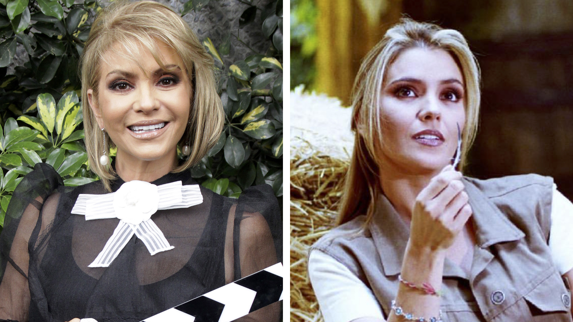 ¿Cuántos hijos tiene Daniela Castro con Gustavo Días Ordaz III? Ellos ...