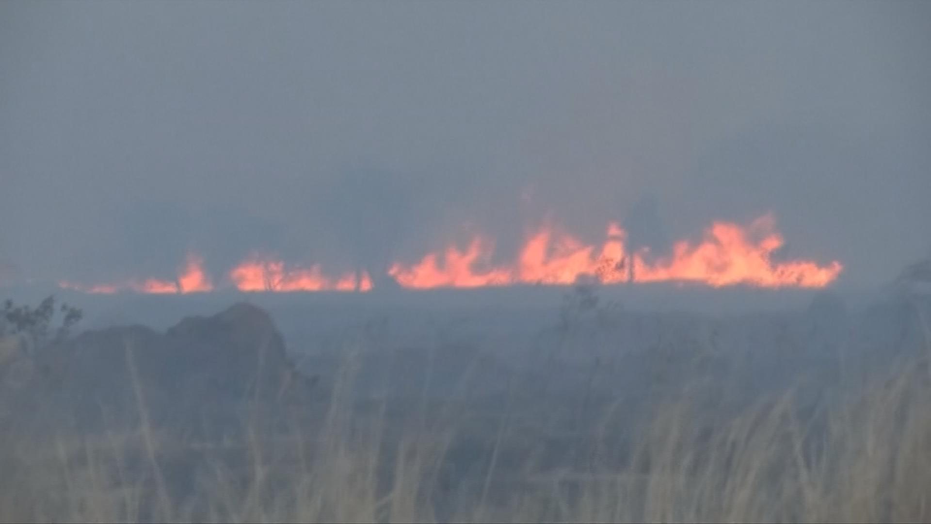 No es solo el Amazonas de Brasil: en Bolivia los incendios han arrasado ...