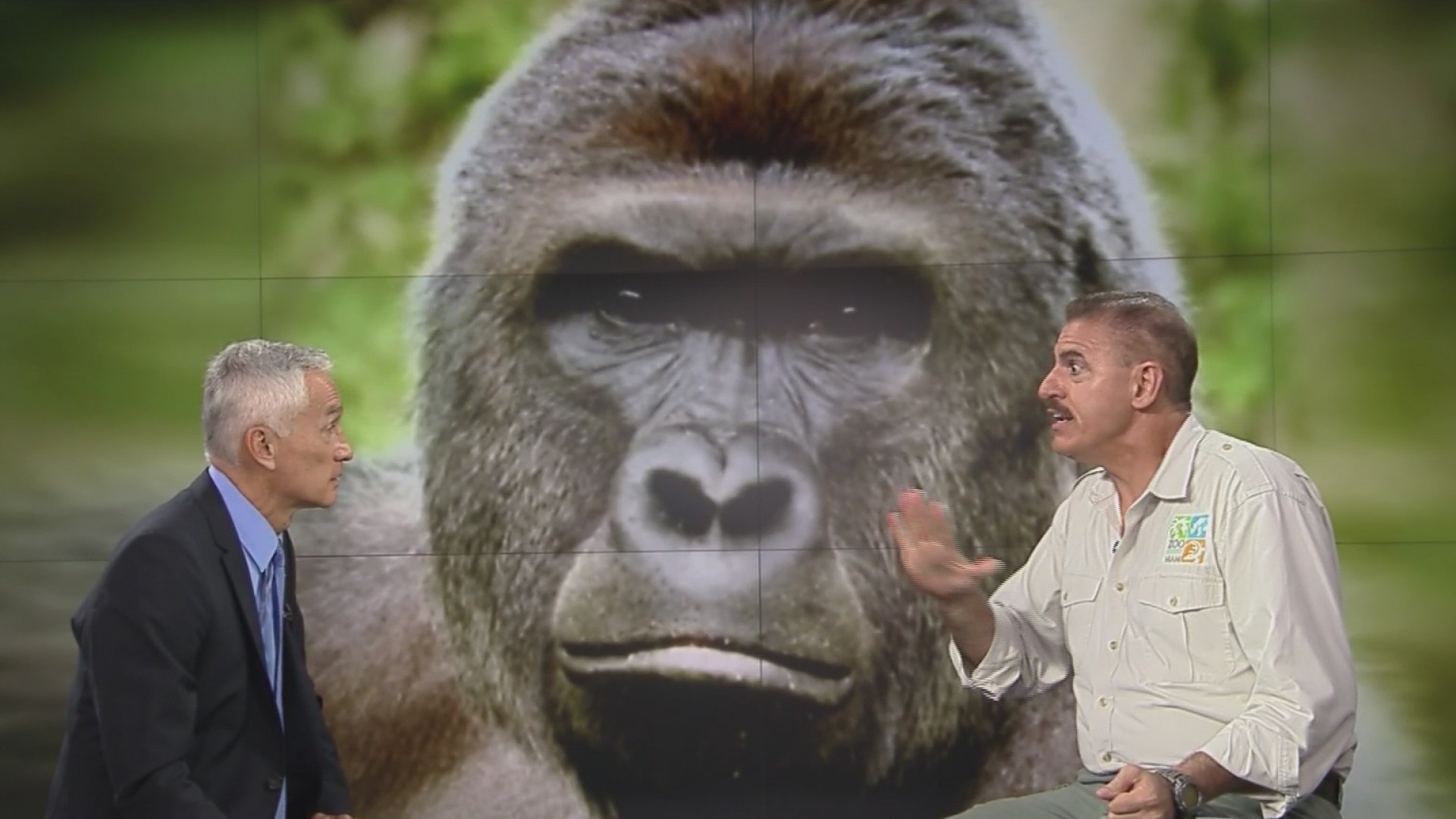 Ron Magill: ninguna vida animal vale más que la de un humano | Shows Al ...