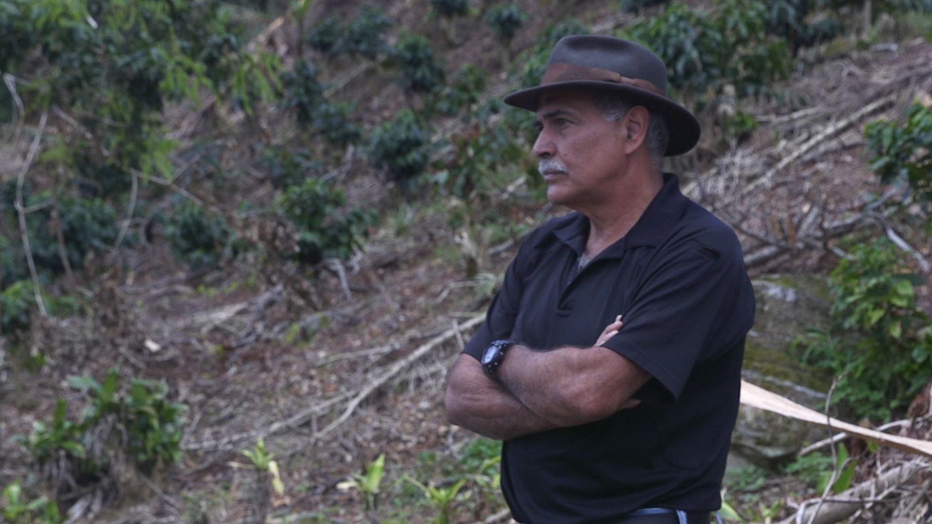 Este productor de café puertorriqueño sigue adelante pese al golpe de ...