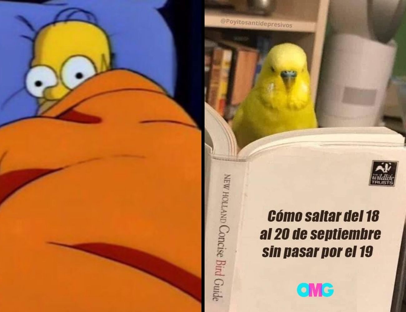 19 de septiembre: Internet se llena de memes por el temor a un nuevo ...
