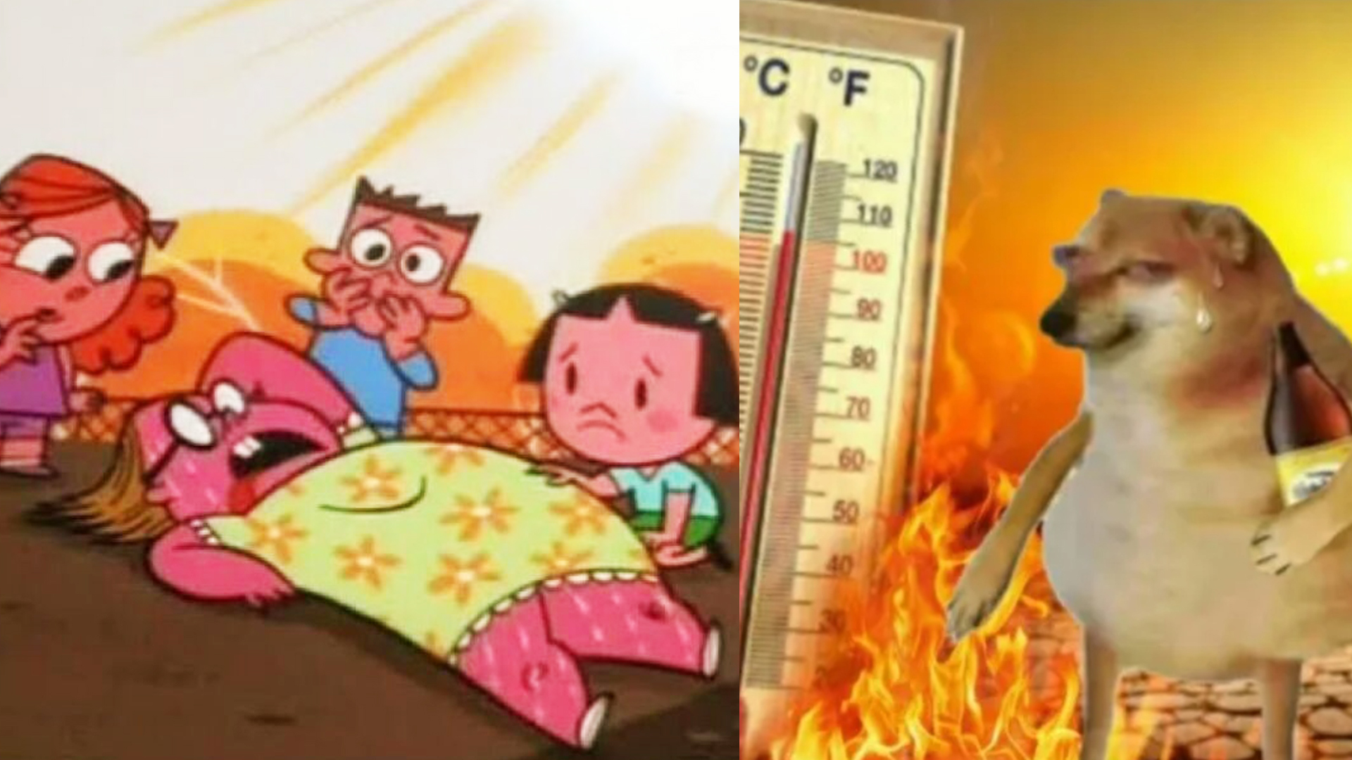 ¡Estás que ardes!: Memes que no te quitarán el calor, pero te harán ...