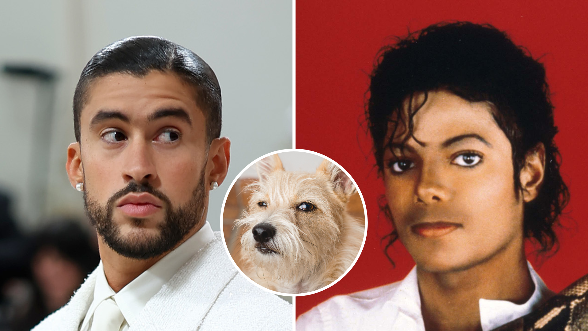 Bad Bunny es nombrado el ‘Rey del pop’ por la revista ‘Forbes ...