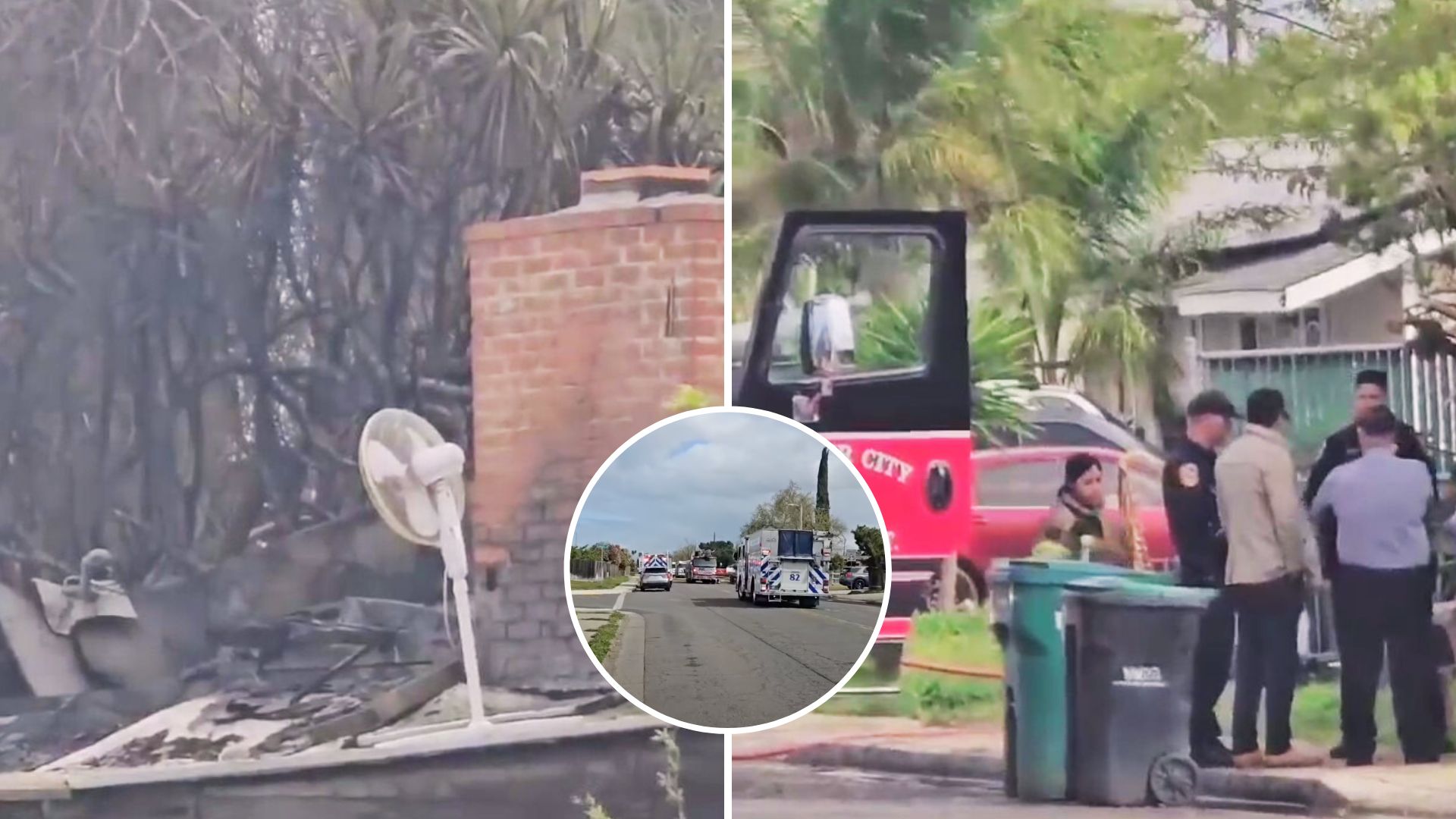 Pensaban que se incendiaba un árbol y hallan el cuerpo quemado de ...