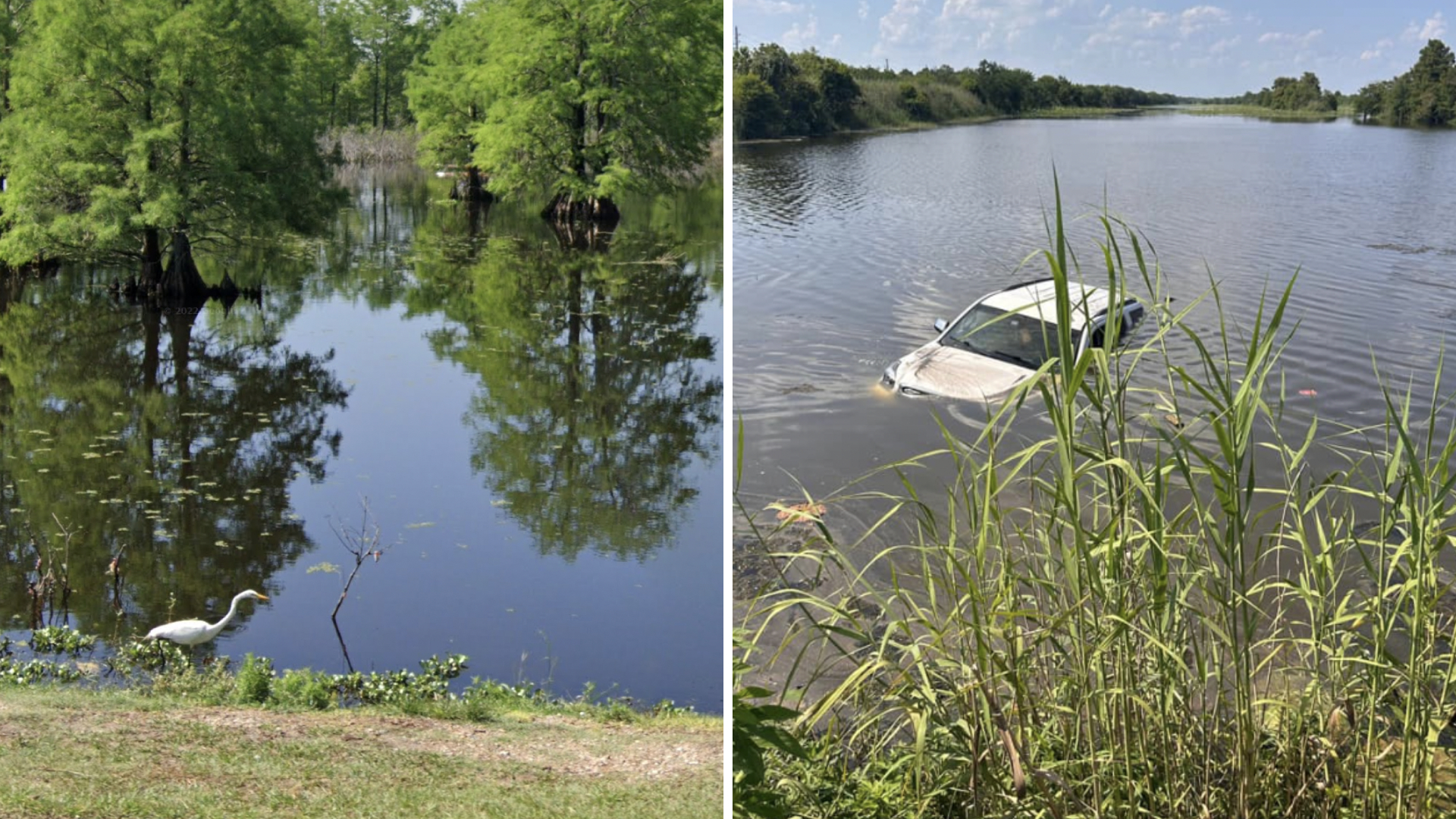 Hallan cadáver de hispana en Sheldon Lake State Park, al noreste de ...