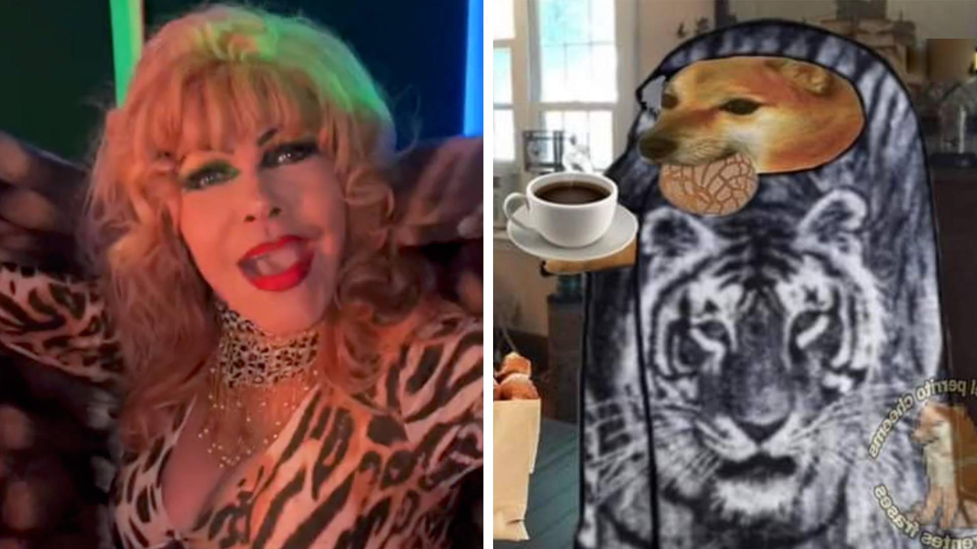 La Tigresa del Oriente lanza nueva canción en TikTok sobre las cobijas ...