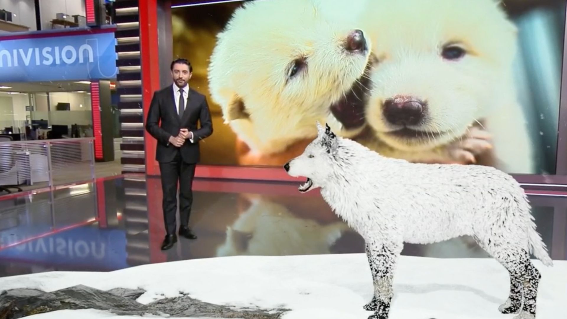 Mira en realidad aumentada el lobo gigante que científicos aseguran ...