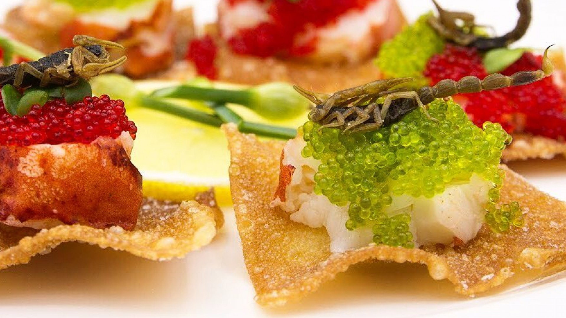 Insectos son el ingrediente principal de un chef | Video | El Bueno, La ...