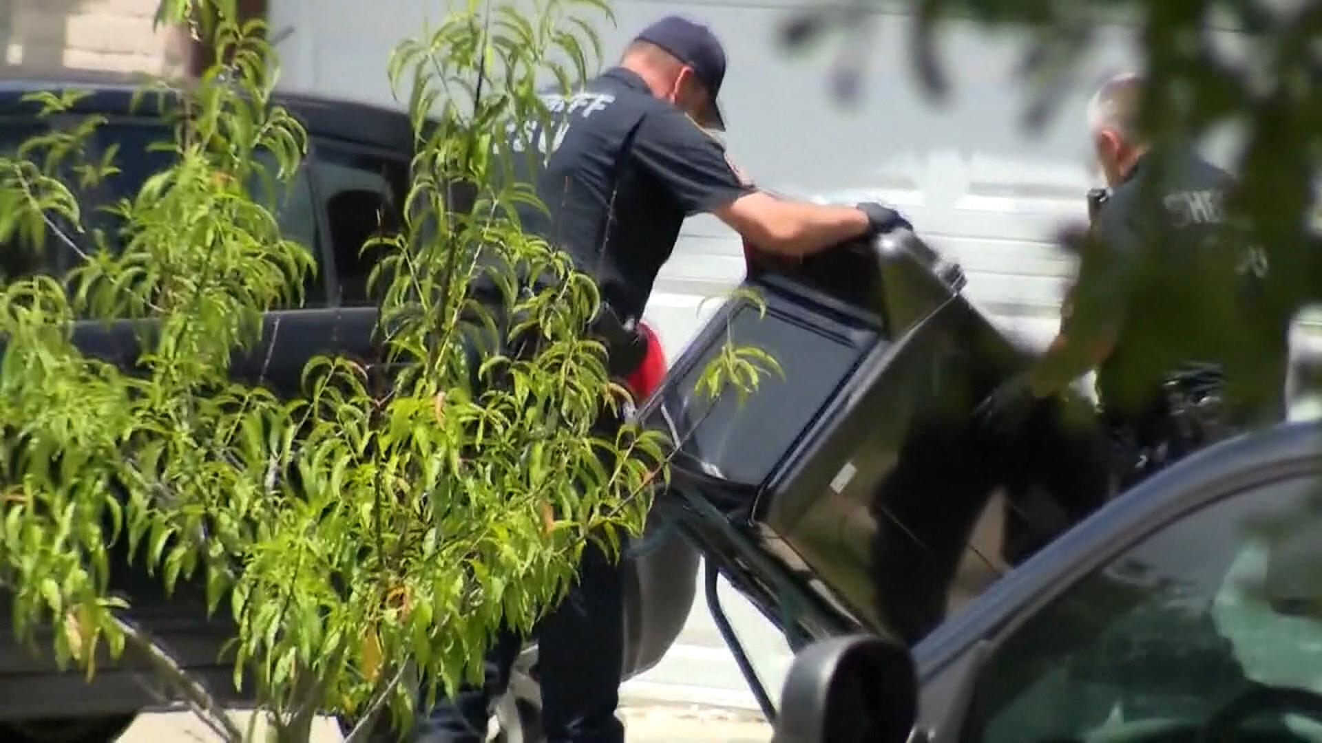 Hallan a un niño muerto en una lavadora y sus padres adoptivos son ...