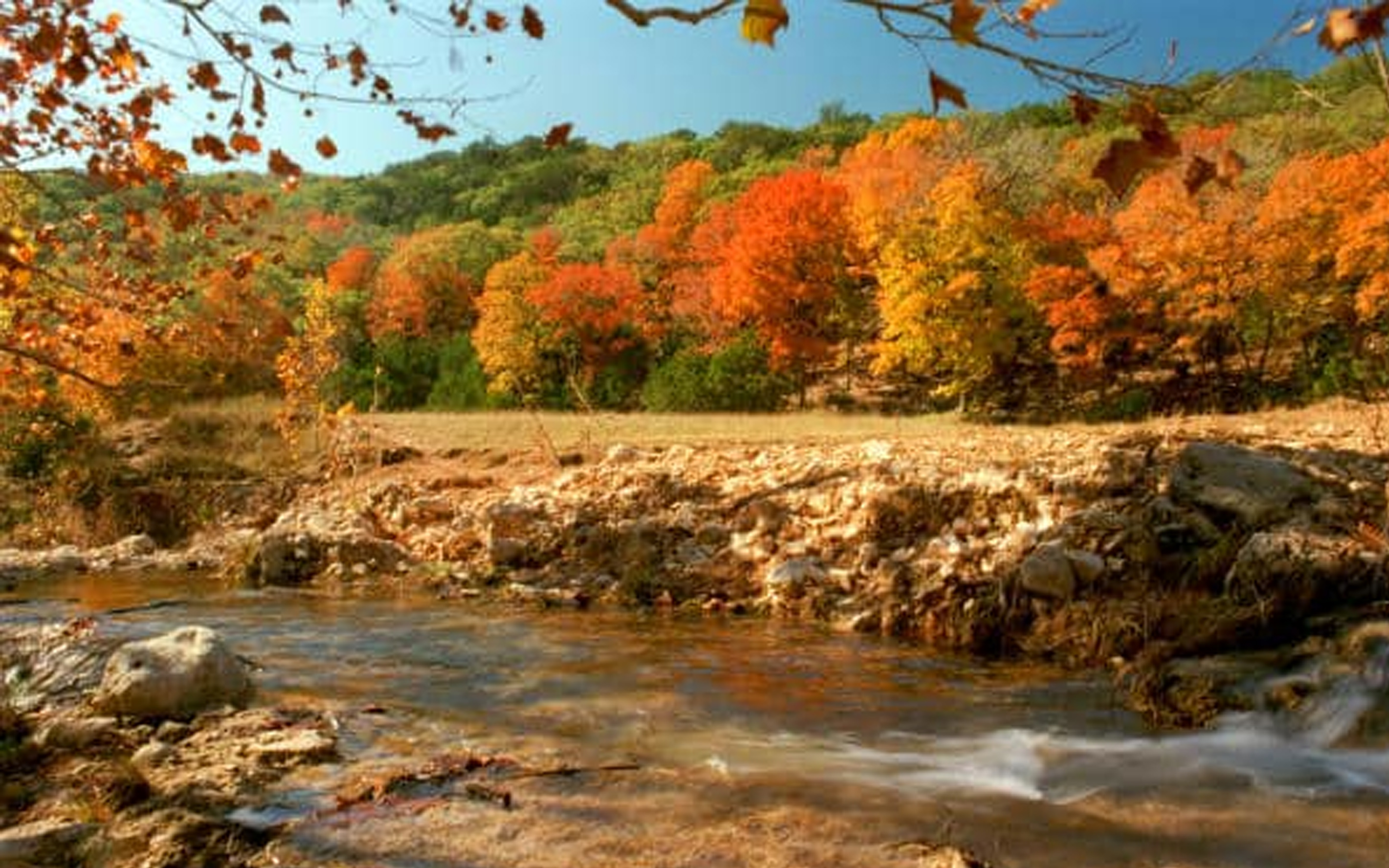 Lost Maples, uno de los parques más visitados durante el otoño en el ...