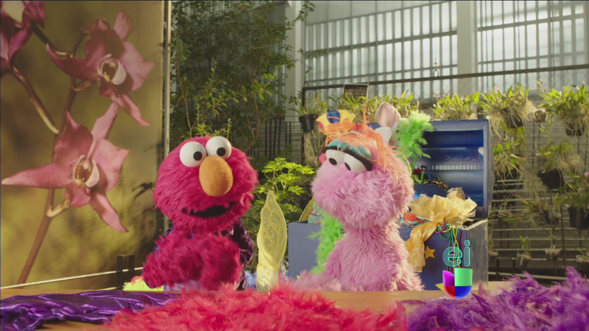 Lola ayudó a Elmo a encontrar alas para su disfraz de pájaro morado ...