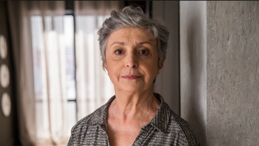 Após 46 anos de carreira, Ana Lúcia Torre comemora 1º trabalho com Gloria Perez | Zappeando ...