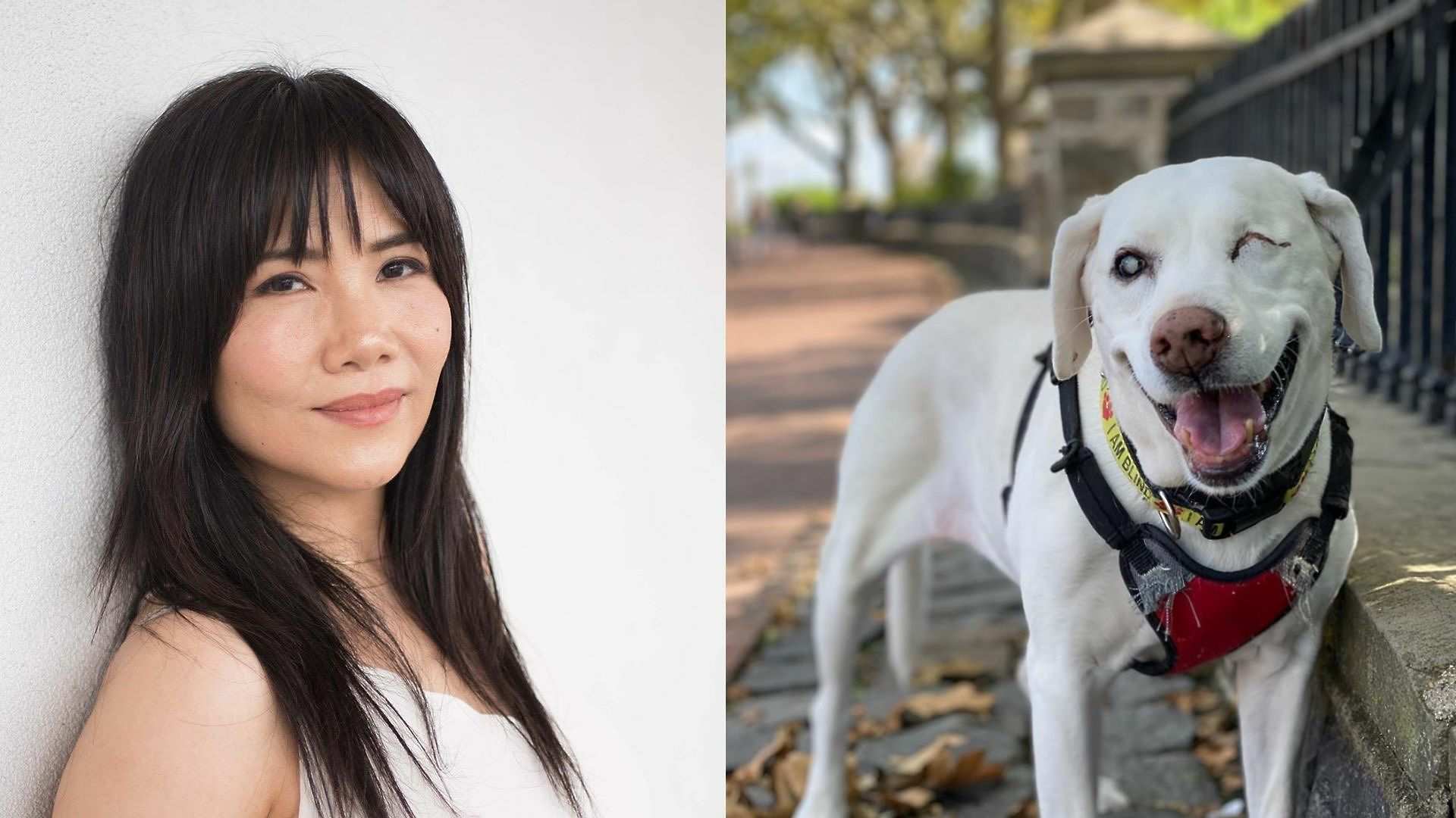 Piama de 'Malcolm' cuenta los cuidados a su perrita ciega y con ...