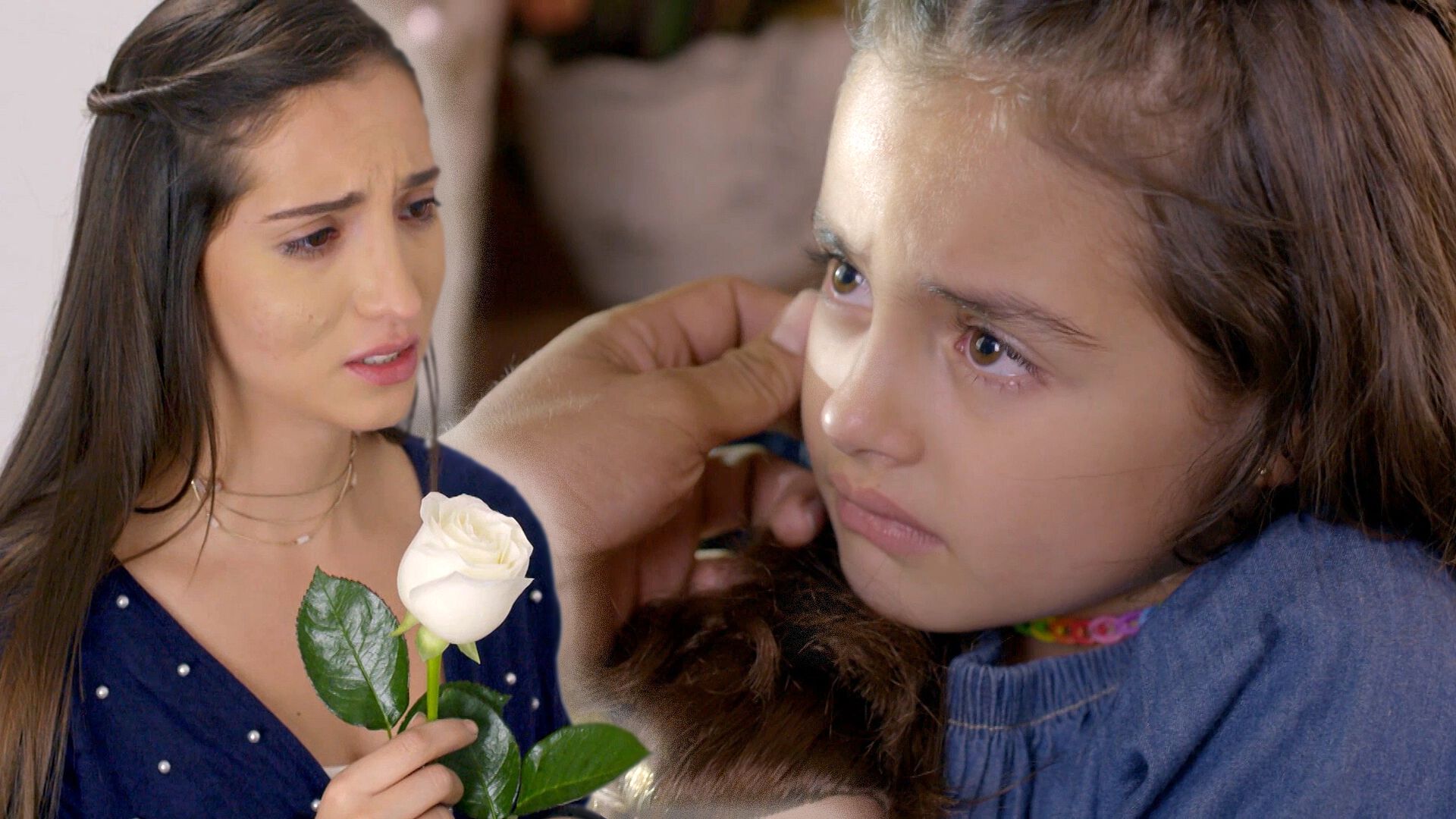 C1315: Este será nuestro secreto | Shows La Rosa de Guadalupe | Las ...