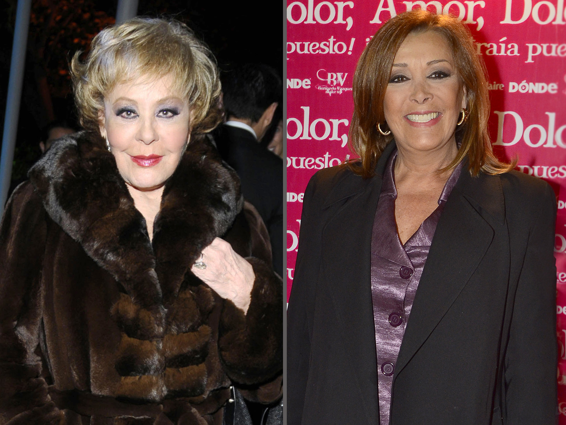 Fernando Frade: el hombre por el que se enfrentaron Silvia Pinal y ...