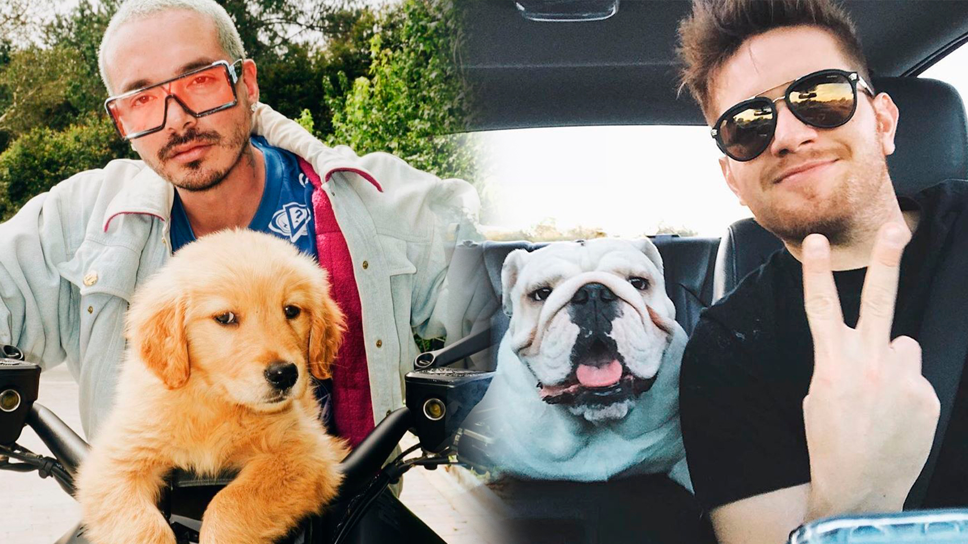 📸 Día del Perro: famosos que la pasan bien con sus mascotas y sus ...