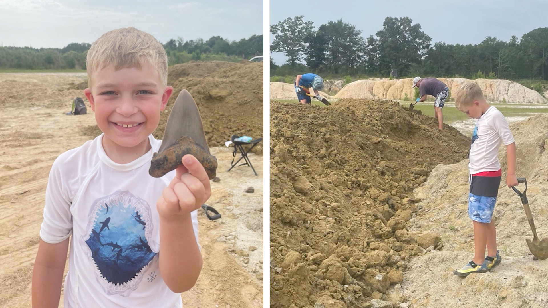 Niño de 8 años encuentra el diente fósil de un tiburón prehistórico en Carolina del Sur | Video ...