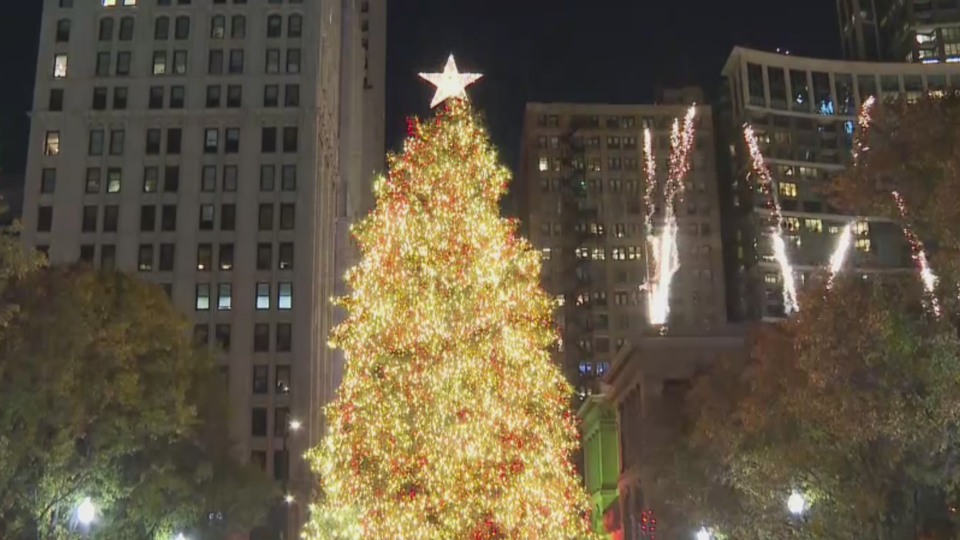 Arranca la temporada de fin de año en Chicago: ya se encendió el árbol ...