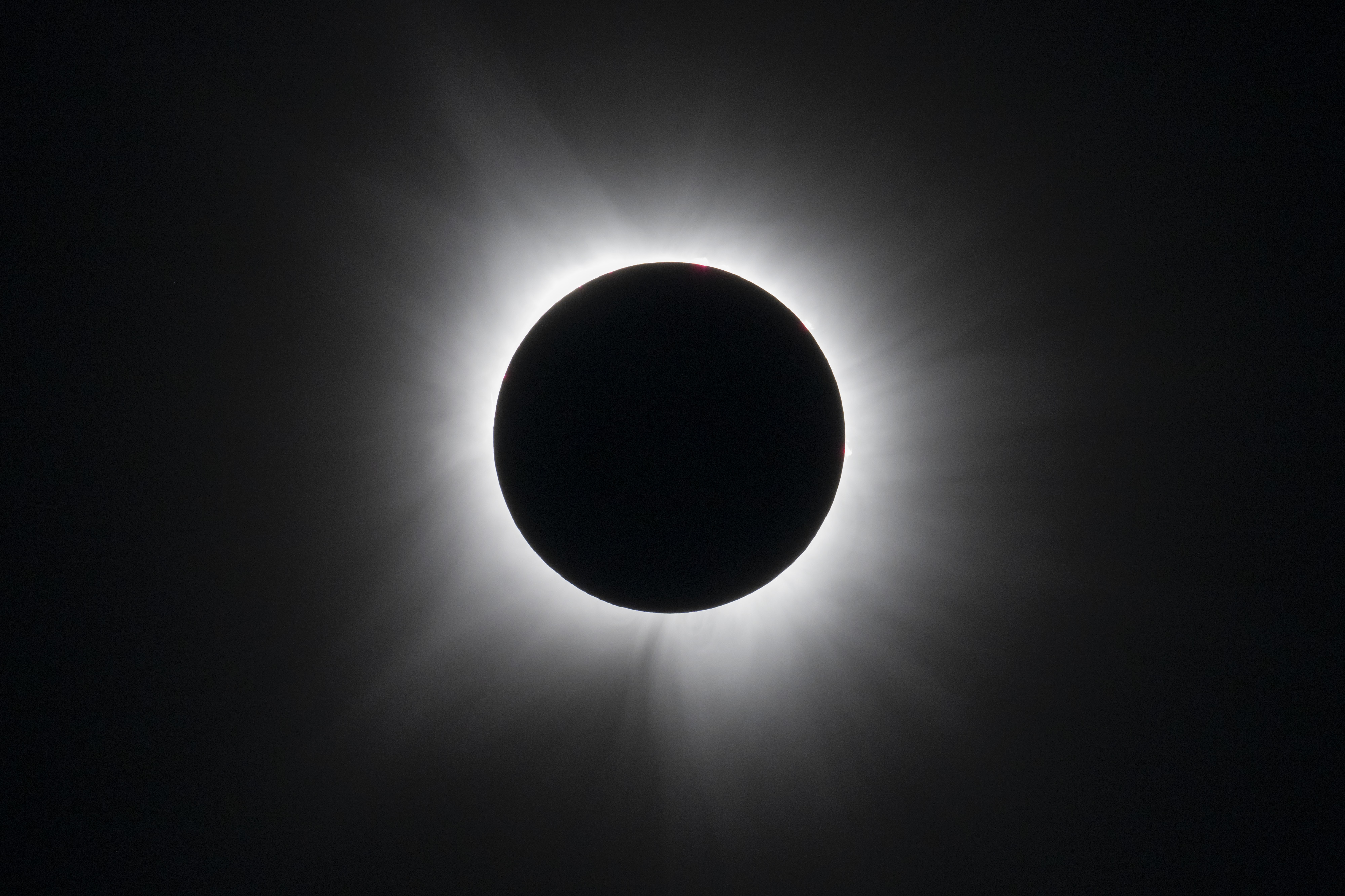 ¿Te lo perdiste? Así se vio el Eclipse Solar Total del 8 de abril en ...