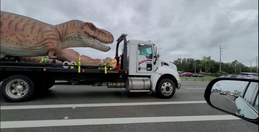 T-rex sorprende a automovilistas sobre la Interestatal 4 en Orlando ...