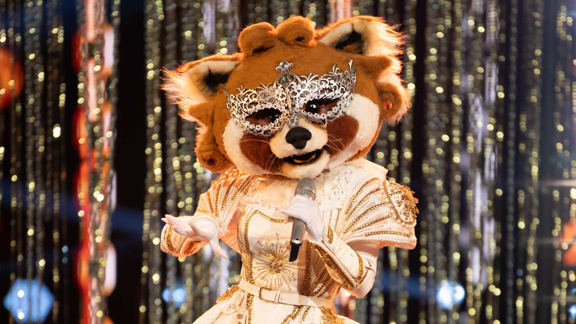 Mapache es un personaje que se deja guiar por el corazón | Shows ¿Quién ...