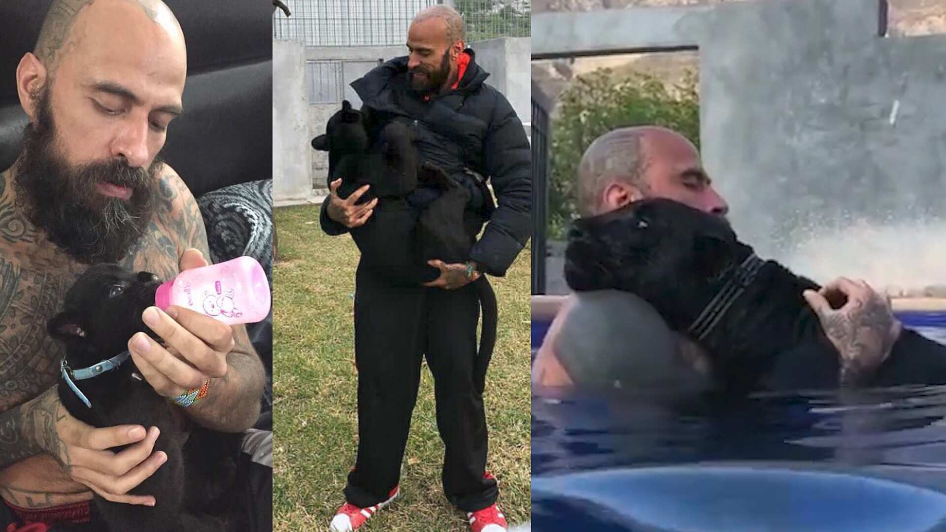 Babo: Estos son algunos de los mejores momentos con su pantera, así han ...