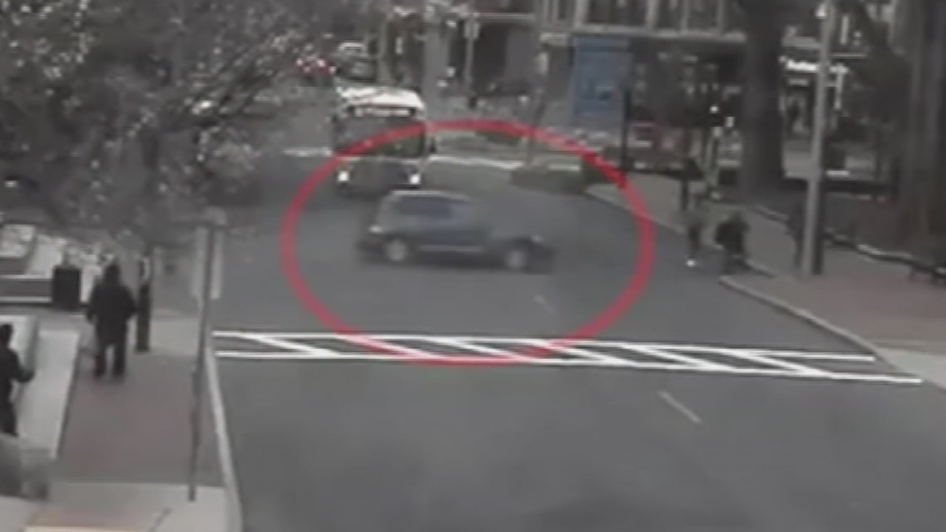 Este conductor ebrio al volante y su negligencia casi le cuesta la vida ...