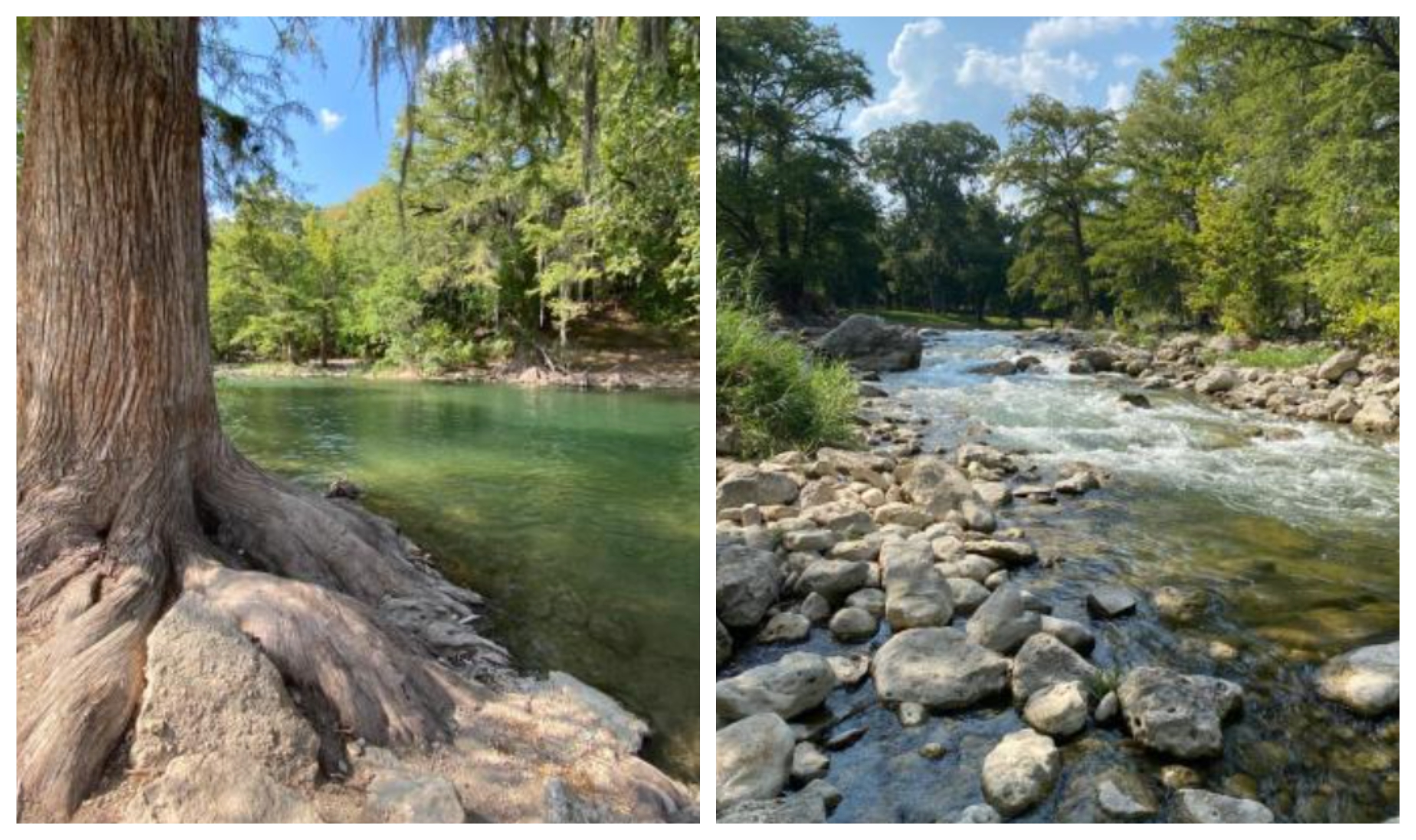 Verano en Texas: El histórico pueblo de Gruene esconde parte del río ...