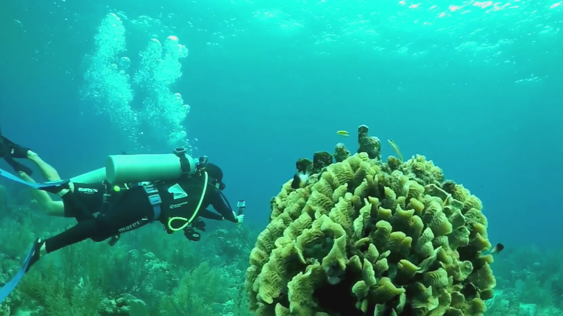 ¡Ruta de Oro! Roatán, el lugar perfecto para bucear y disfrutar de los ...