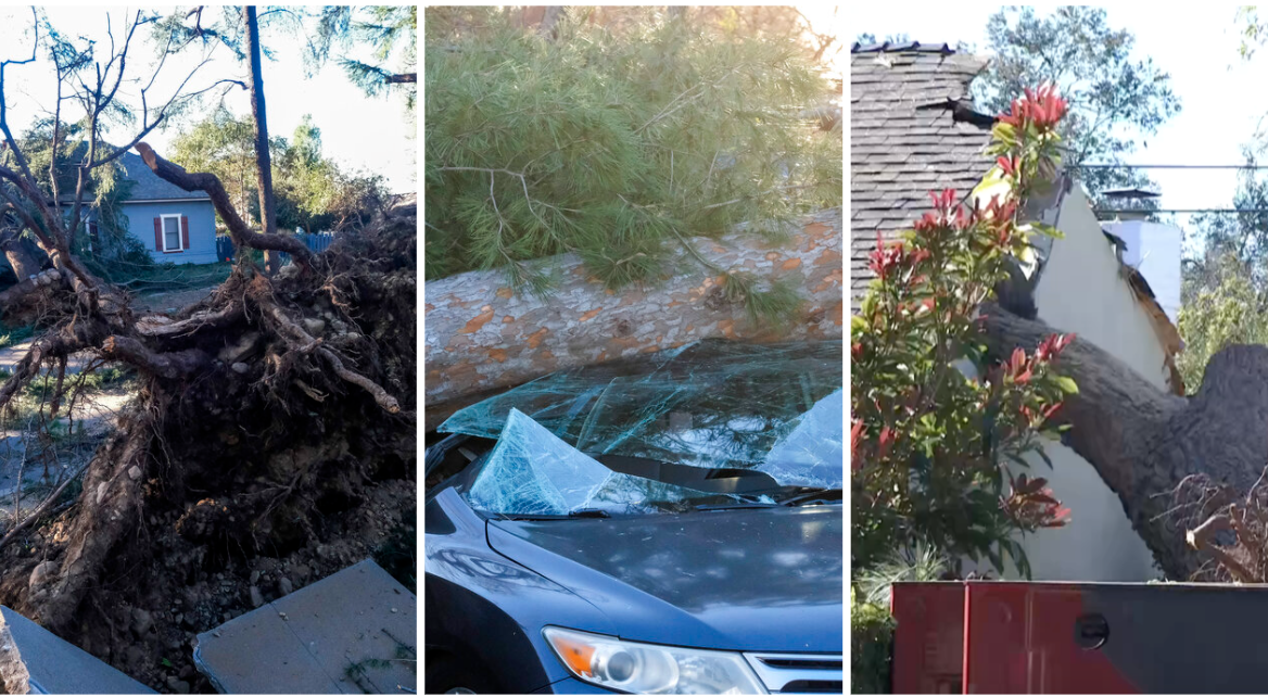 Vientos de Santa Ana con fuerza de huracán dejan más de 20 mil usuarios ...