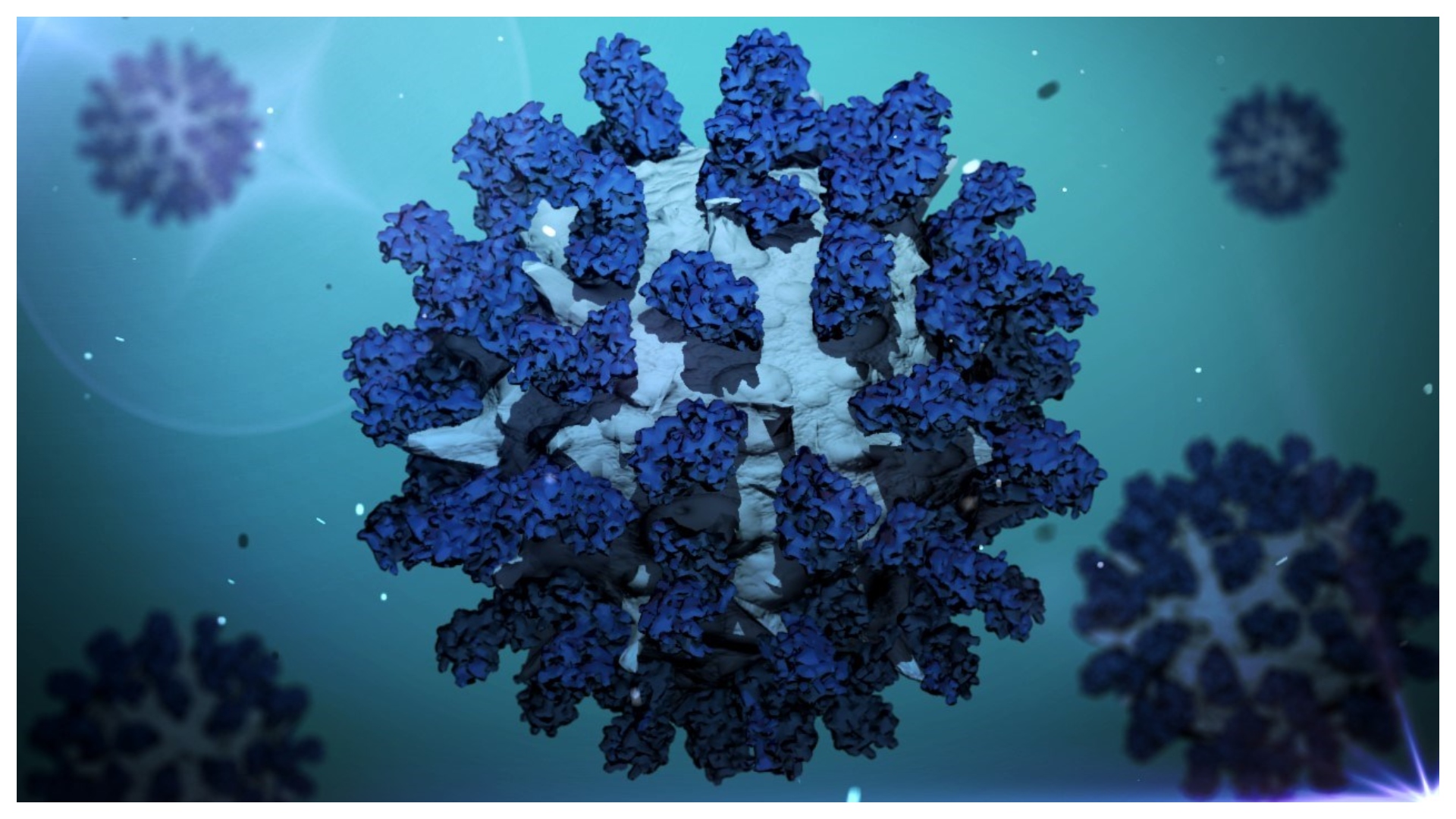 Concluye la emergencia por la pandemia del coronavirus: aquí te decimos ...