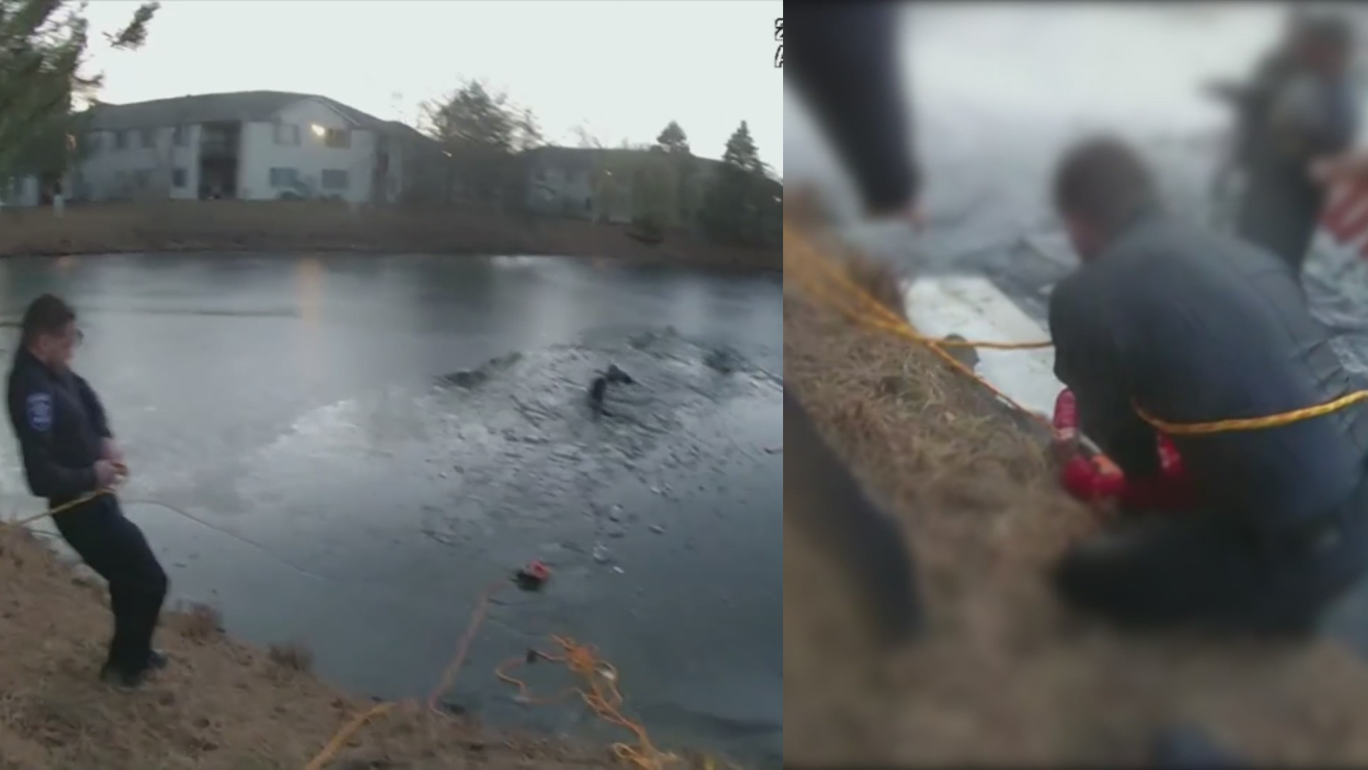 Video del dramático rescate de una mujer y un niño que cayeron a un ...