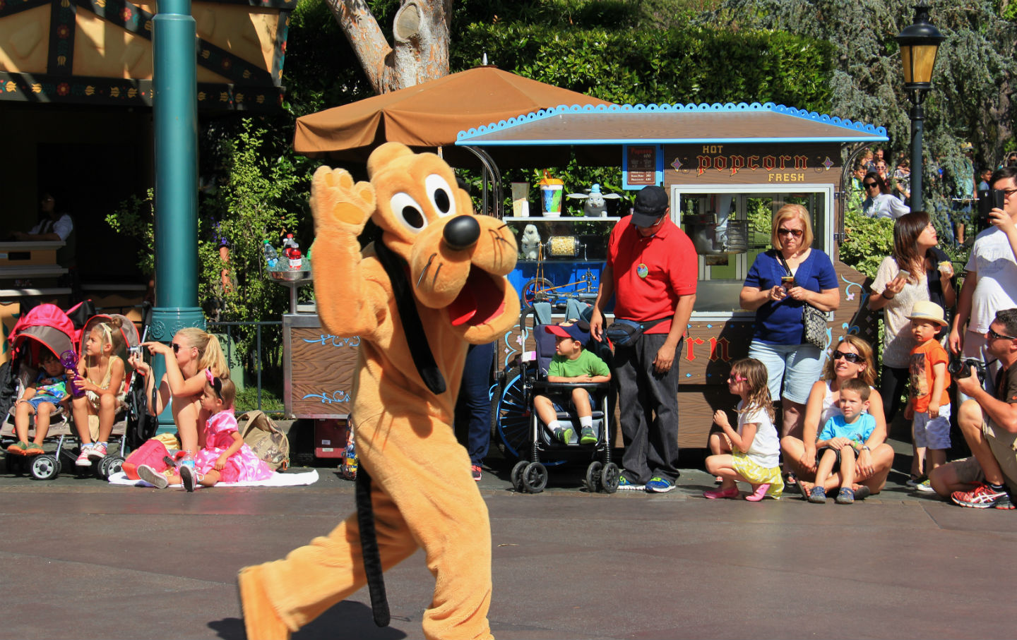 Video: perro de servicio se encuentra con Pluto | Estilo de Vida ...