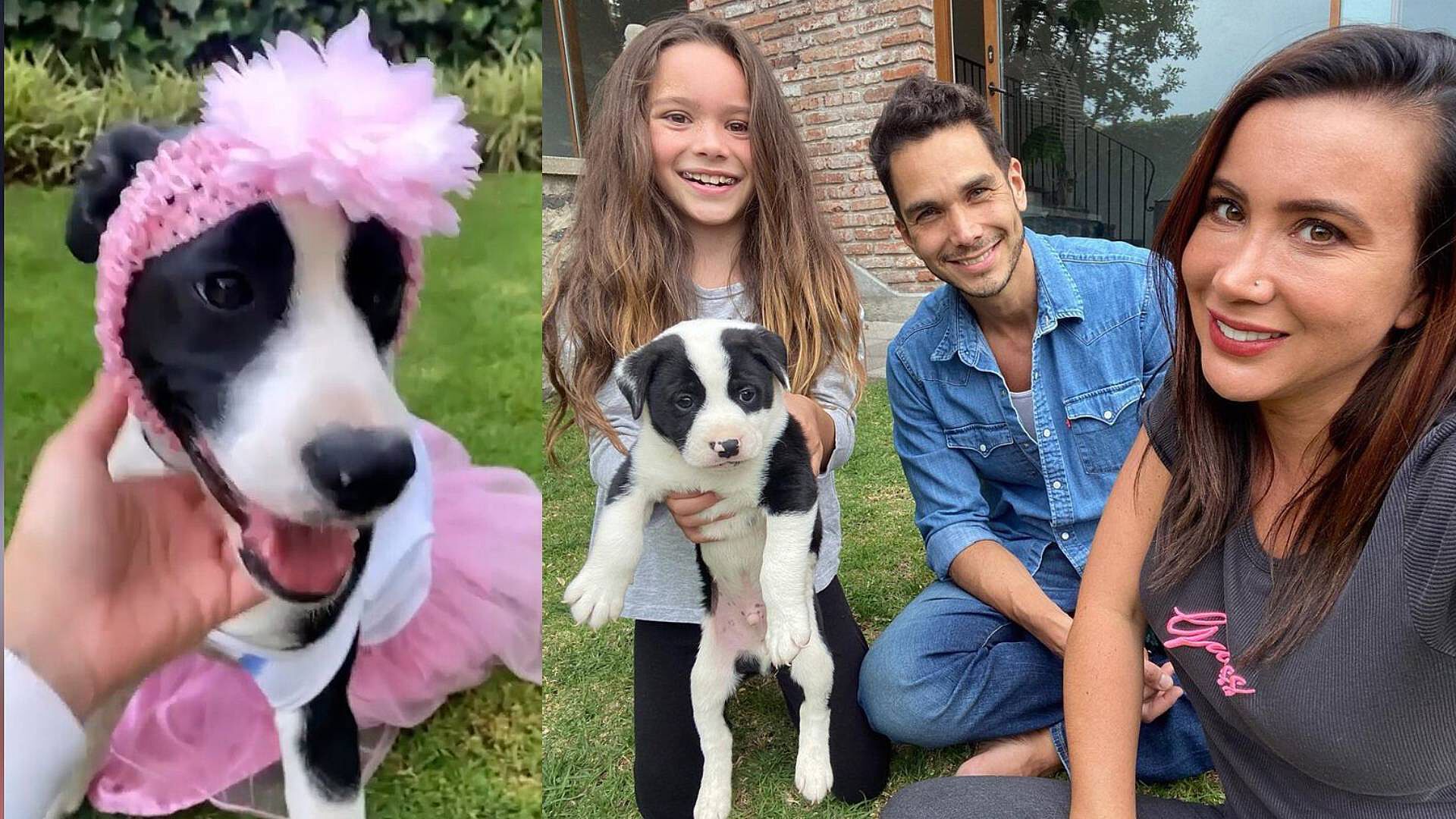 Hija de Mariazel disfraza a su perro, ¡y así reaccionó la conductora ...