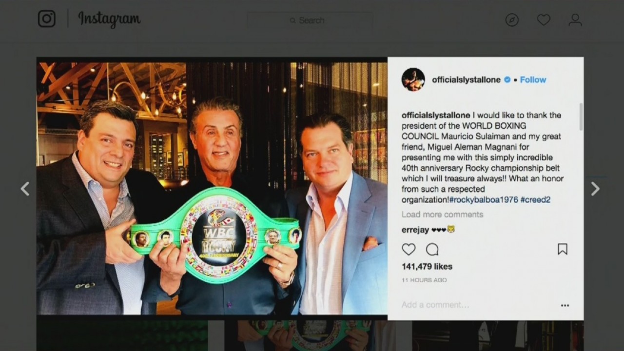‘Rocky’ Balboa ya tiene su cinturón oficial del CMB | Deportes Boxeo ...