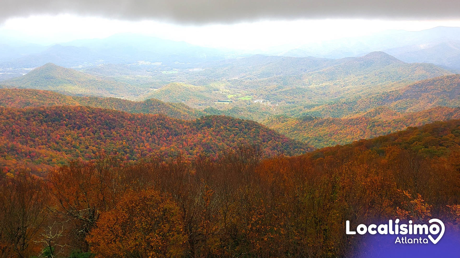 Las mejores fechas para ver el cambio de color de las hojas en Georgia ...