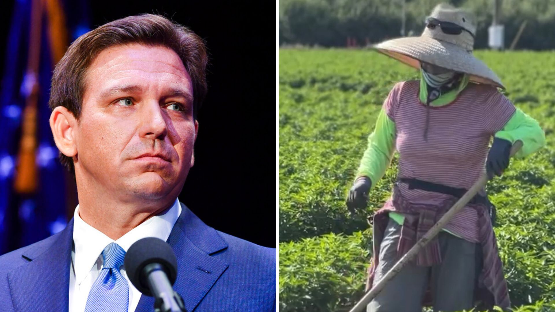Ron DeSantis vuelve a California a un evento en Fresno para su campaña ...