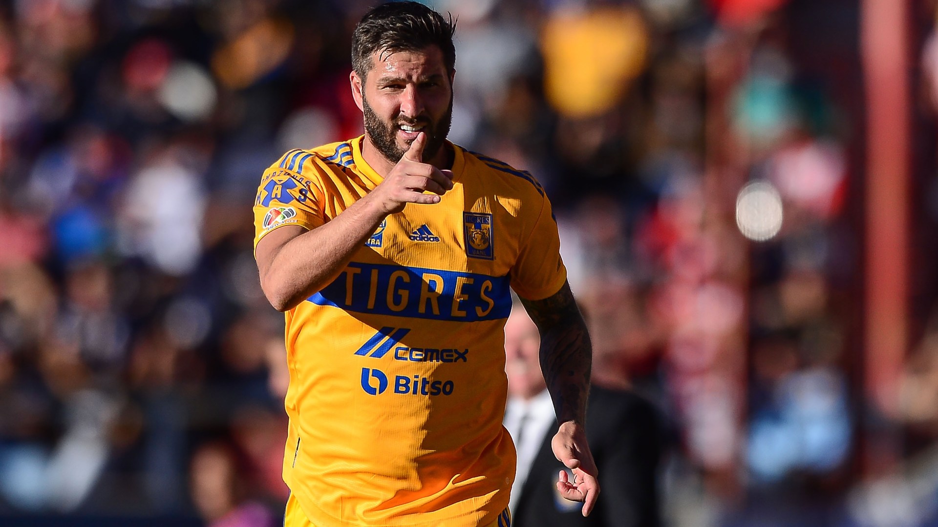 Tigres vs Necaxa: André-Pierre Gignac va por el tercer puesto de ...