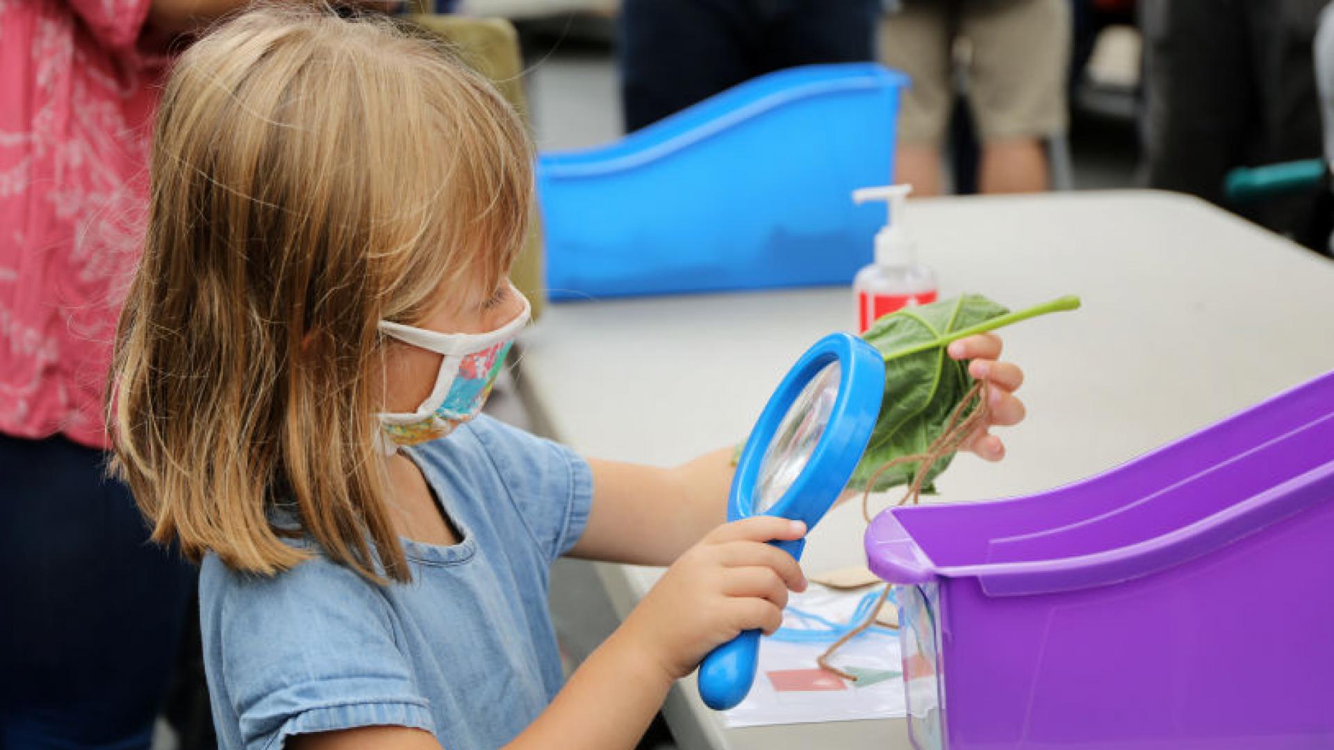 Doctora habla sobre el aumento de casos del virus sincitial ...