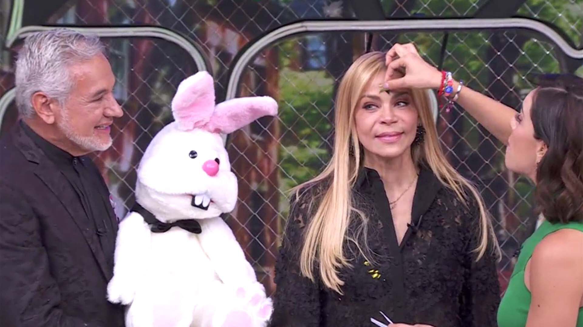 ¿Habrá trío en Las Estrellas Bailan en Hoy? Cecy Gutiérrez y el Mago ...