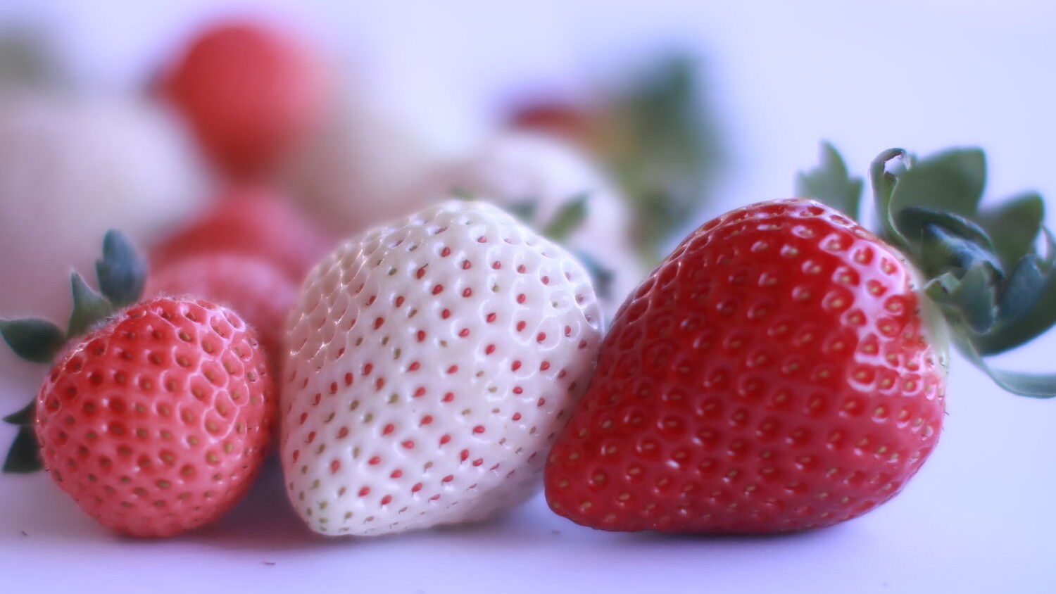 Fruta Parecida Com Morango - FDPLEARN