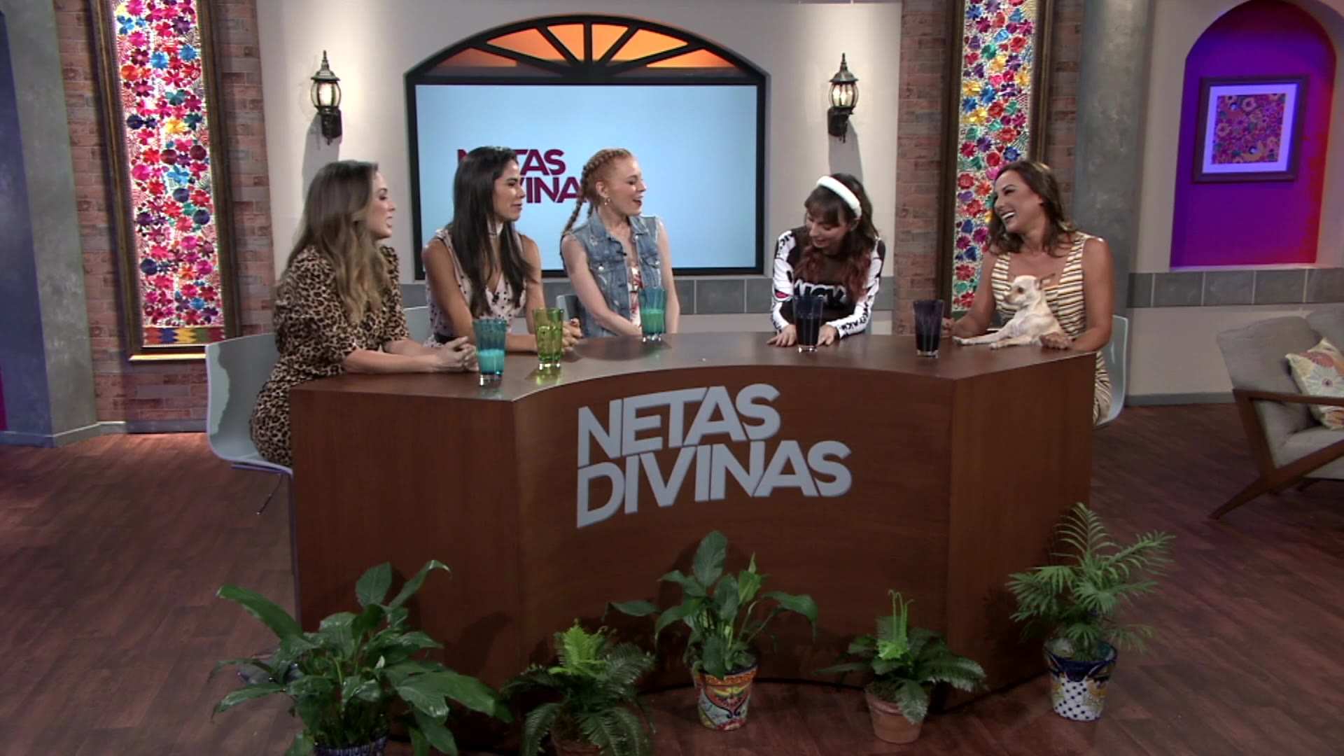 Netas Divinas: Las conductoras confiesan si les falta o les sobra hacer ...