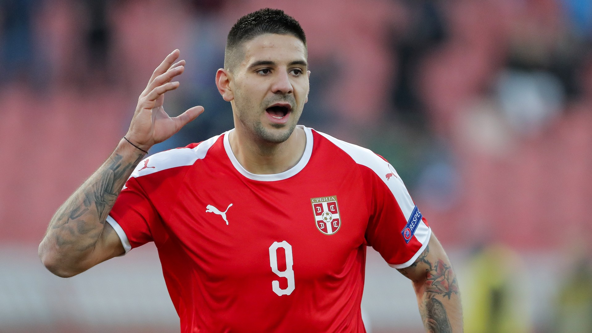 Aleksandar Mitrovic se consagró como el artillero de la primera fase de ...