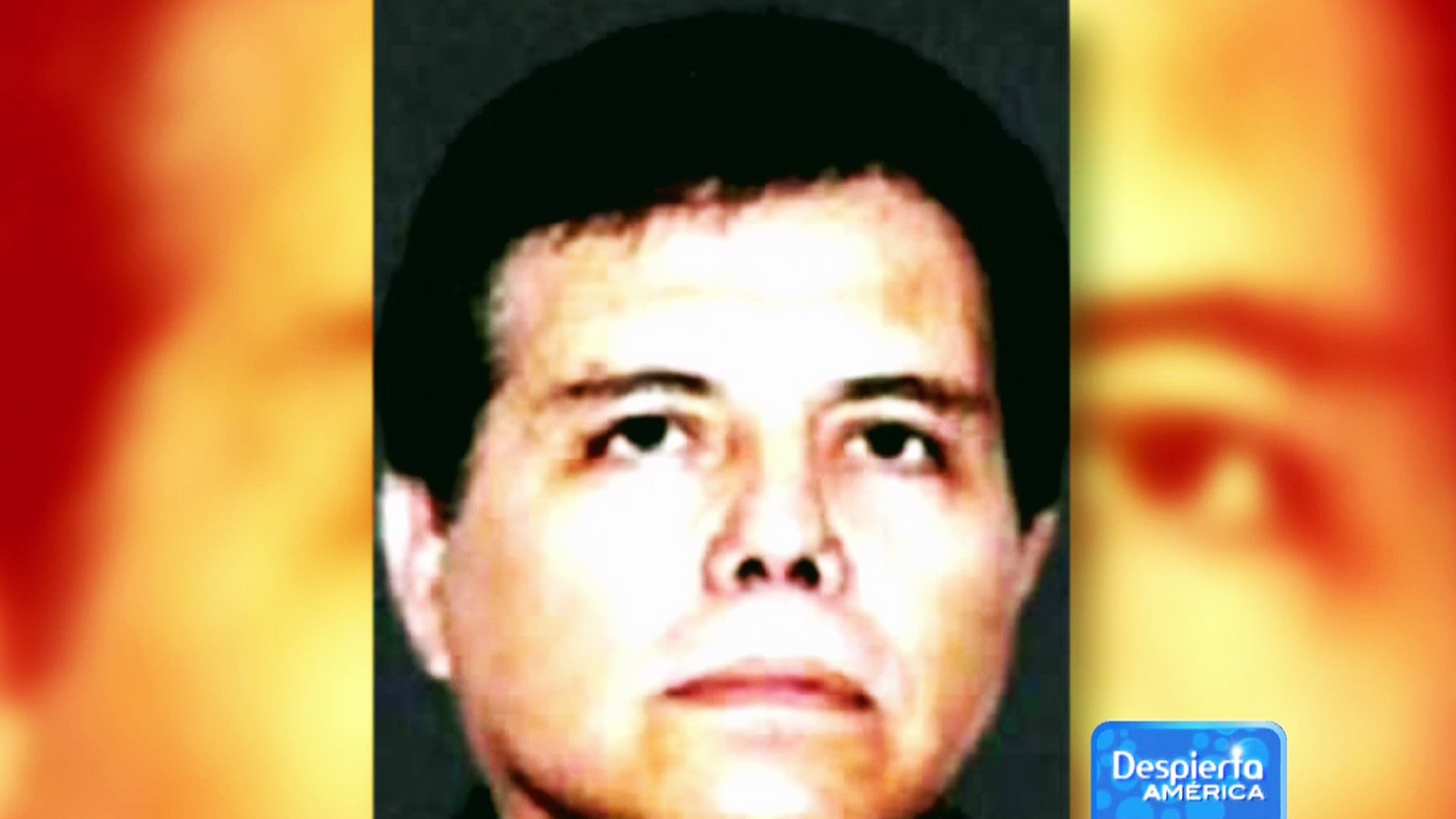 Ismael El Mayo Zambada, el nuevo objetivo de la policía | Shows ...