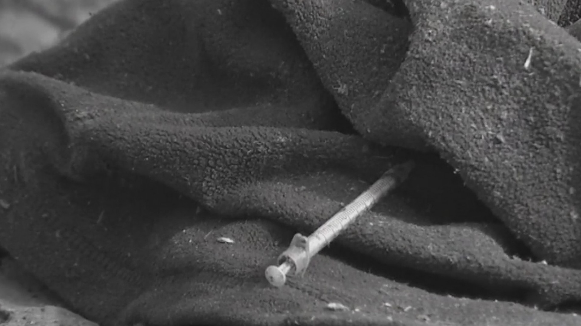 Drogas con carfentanilo, una mezcla que resulta mortal para ...