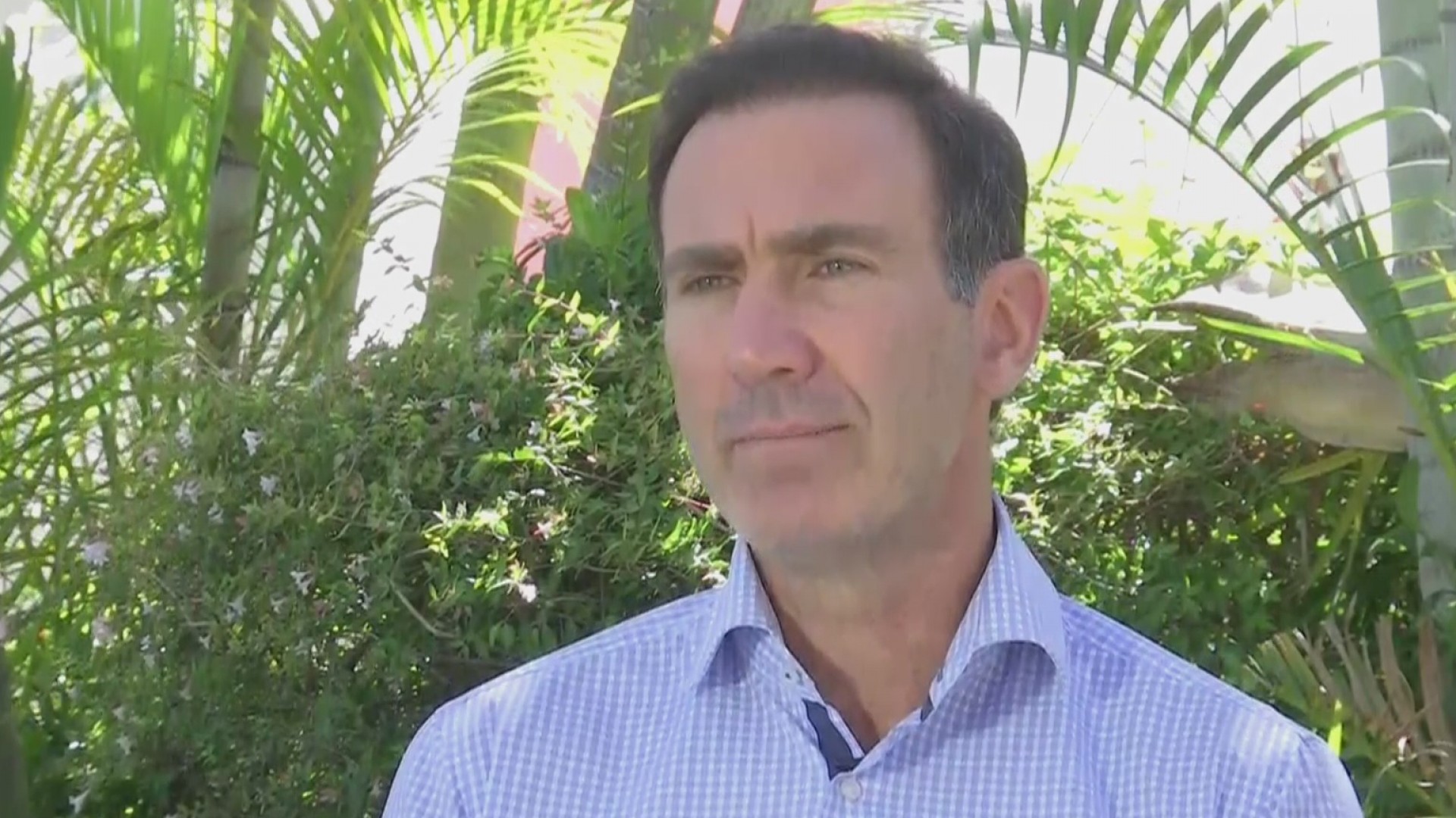 En exclusiva| Francisco Gabriel de Anda desmintió sus supuestas ...