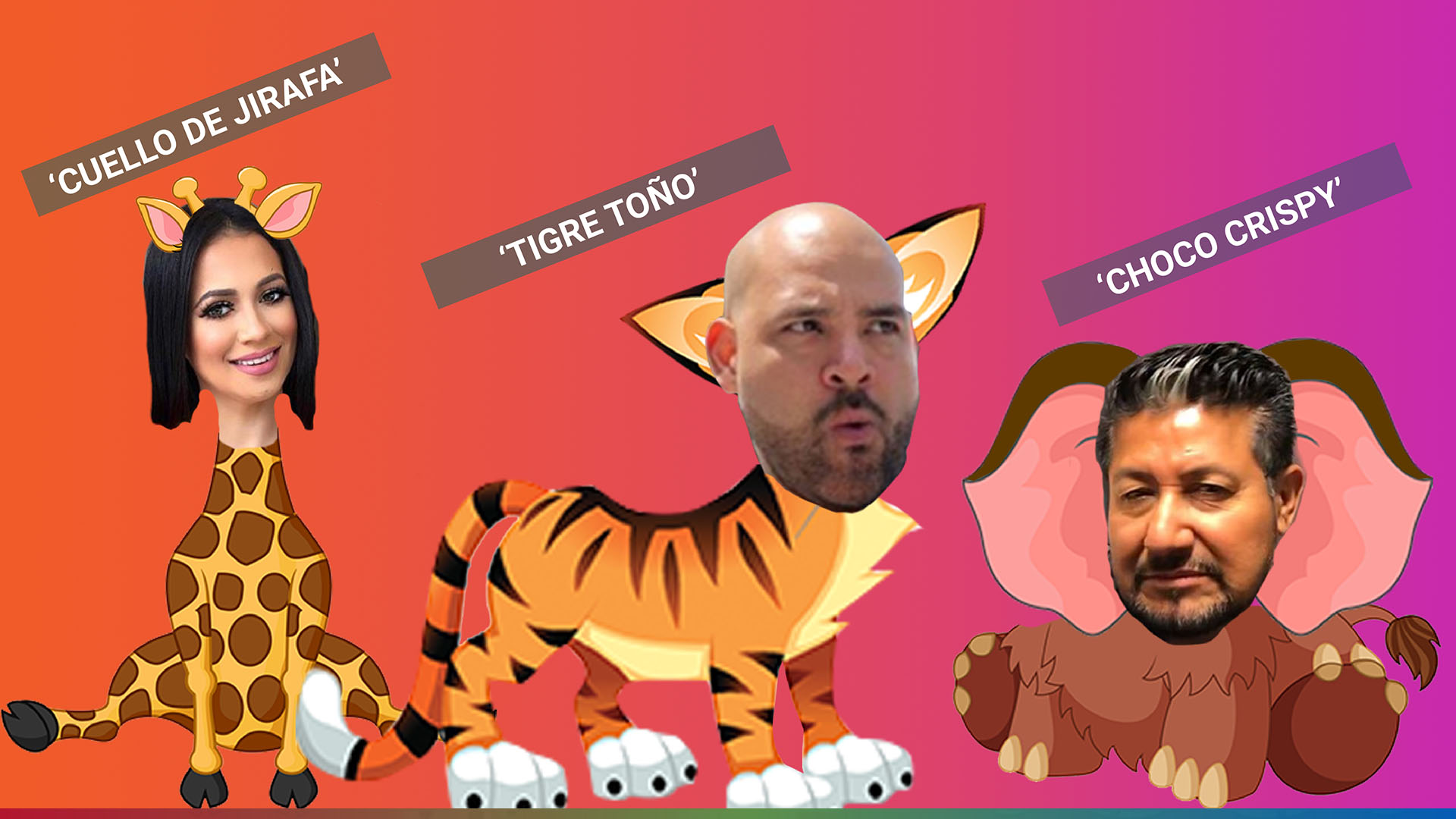 ‘Tigre Toño’, ‘Choco Crispy’ y ‘Cuello de Jirafa’: se dieron con todo ...