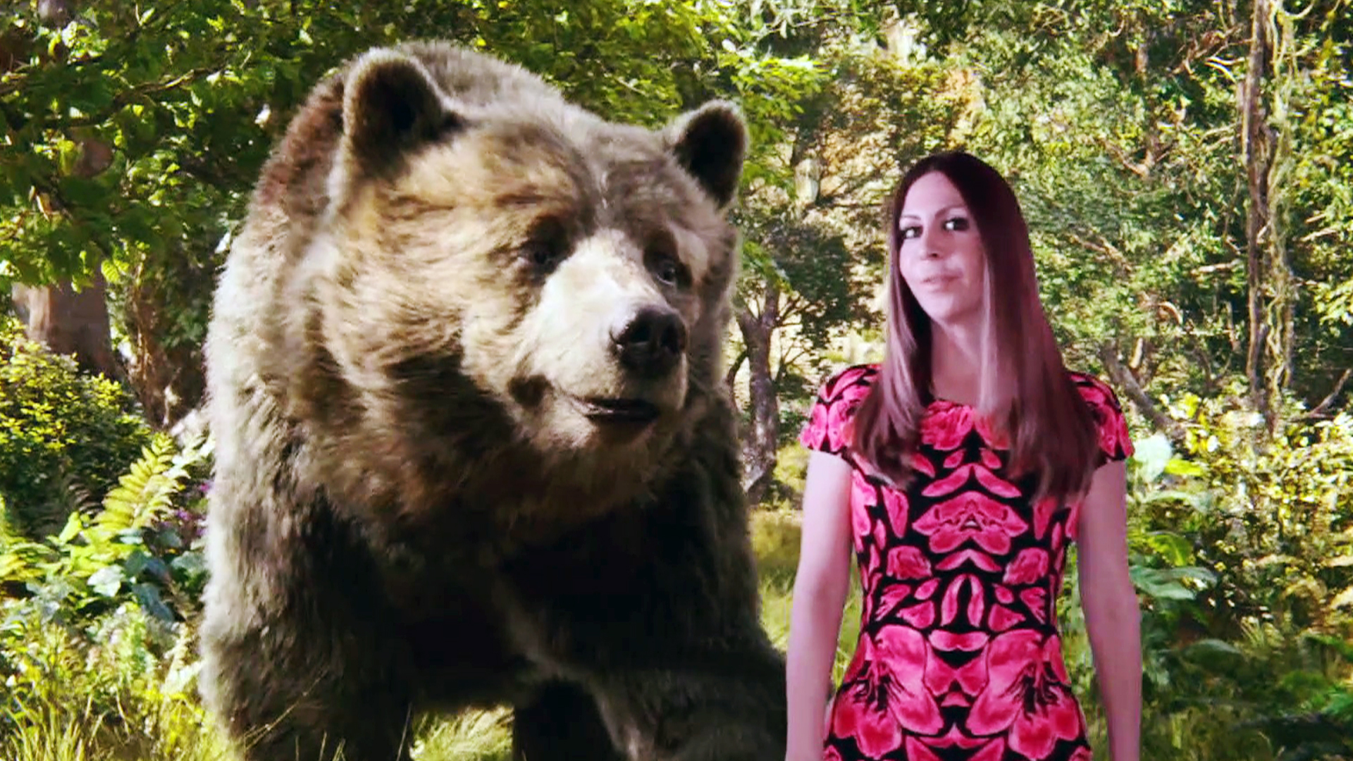 Ninette Ríos entrevistó al oso Baloo y a todo el elenco de 'The Jungle ...